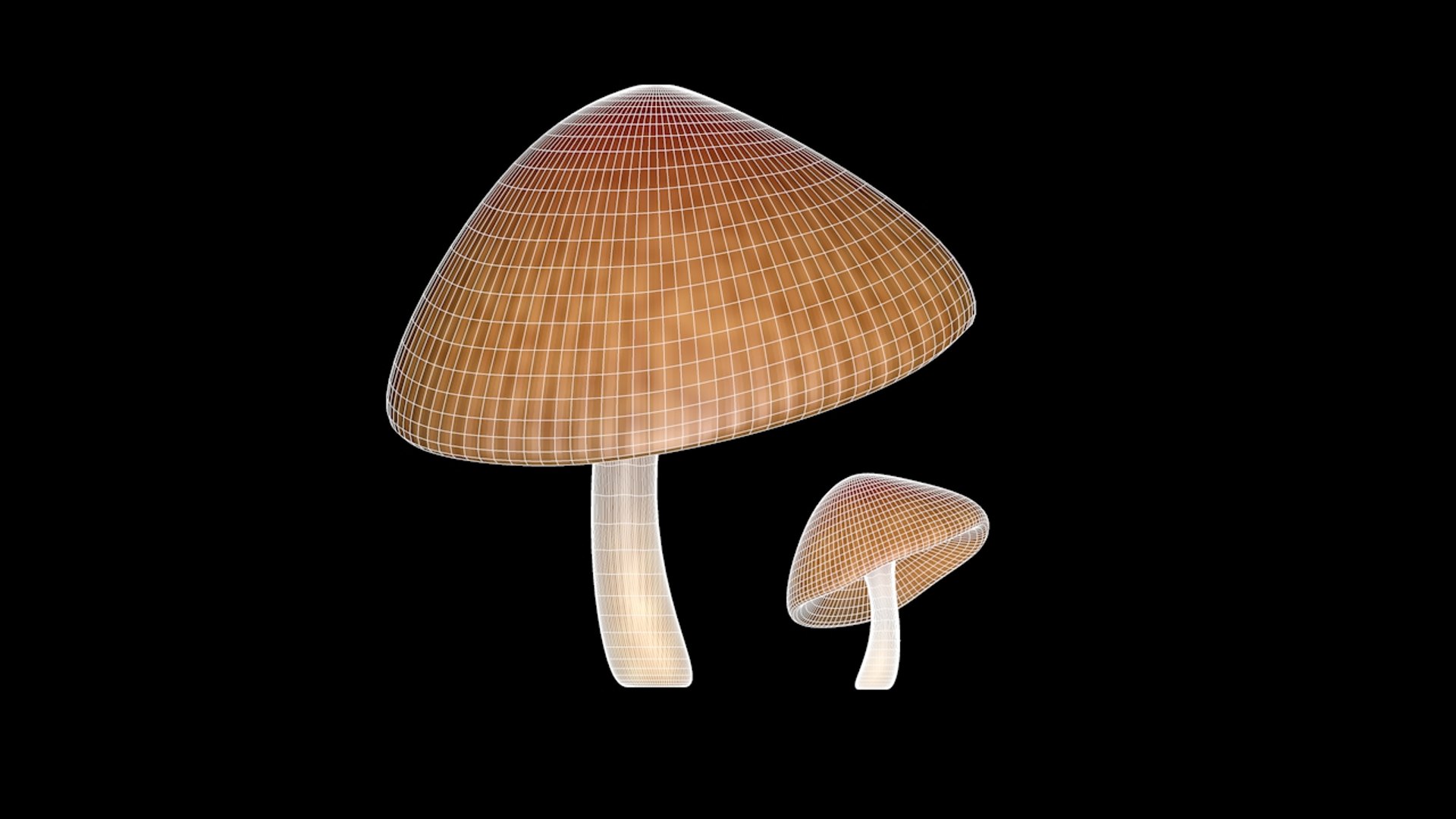 3D Mushroom Fungus Nature Model - TurboSquid 1679958
