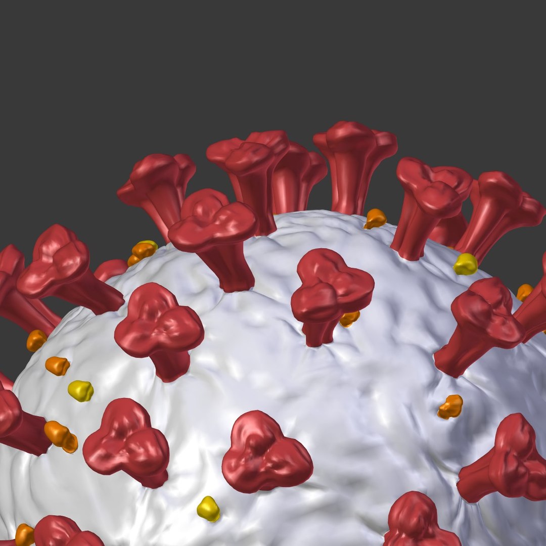 3D virus anatomy science - TurboSquid 1528266