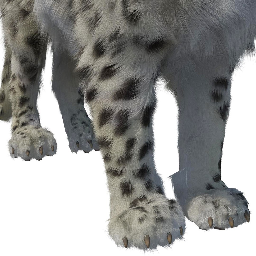 snow leopard fur 3d model
