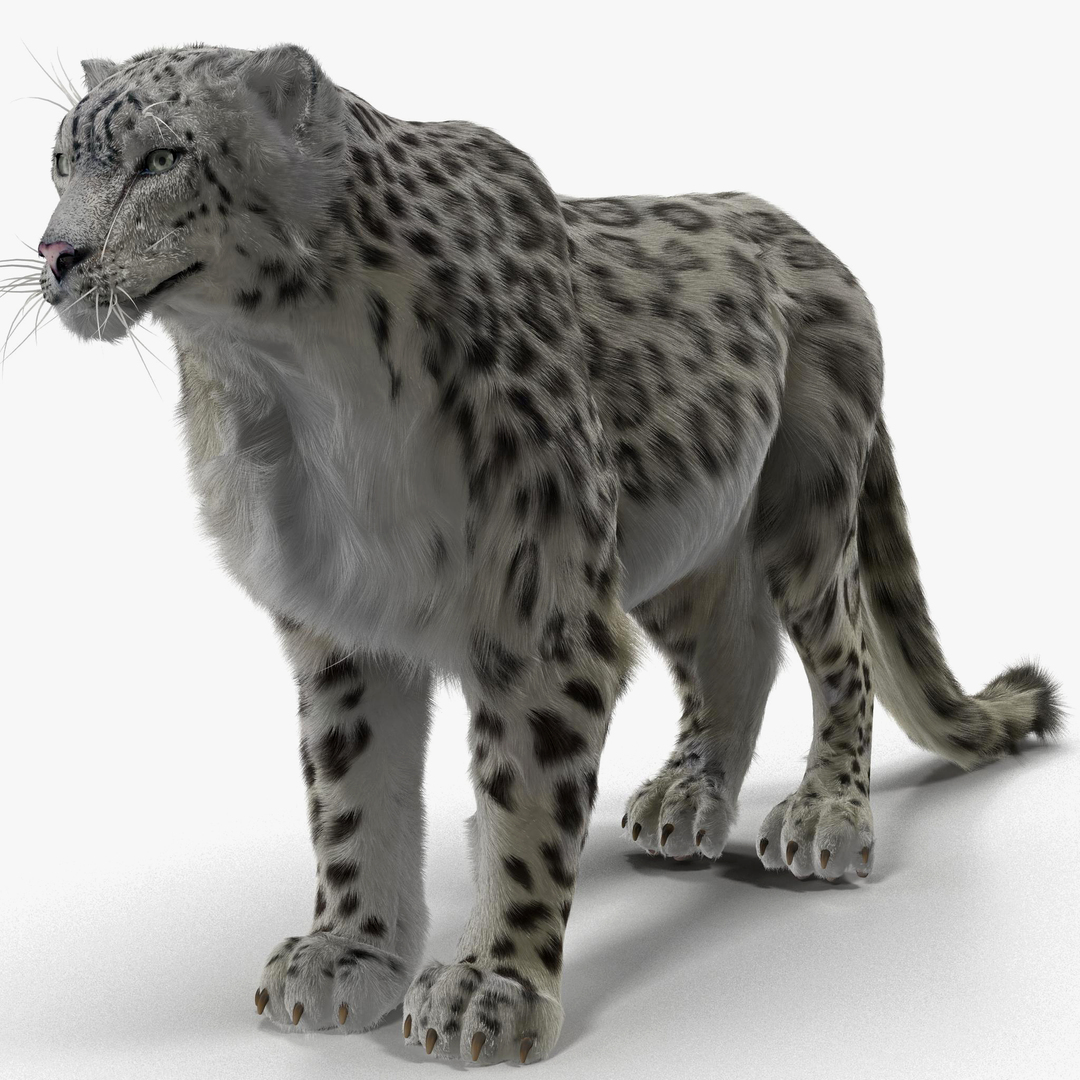 snow leopard fur 3d model