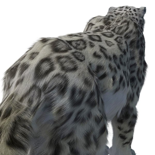 snow leopard fur 3d model