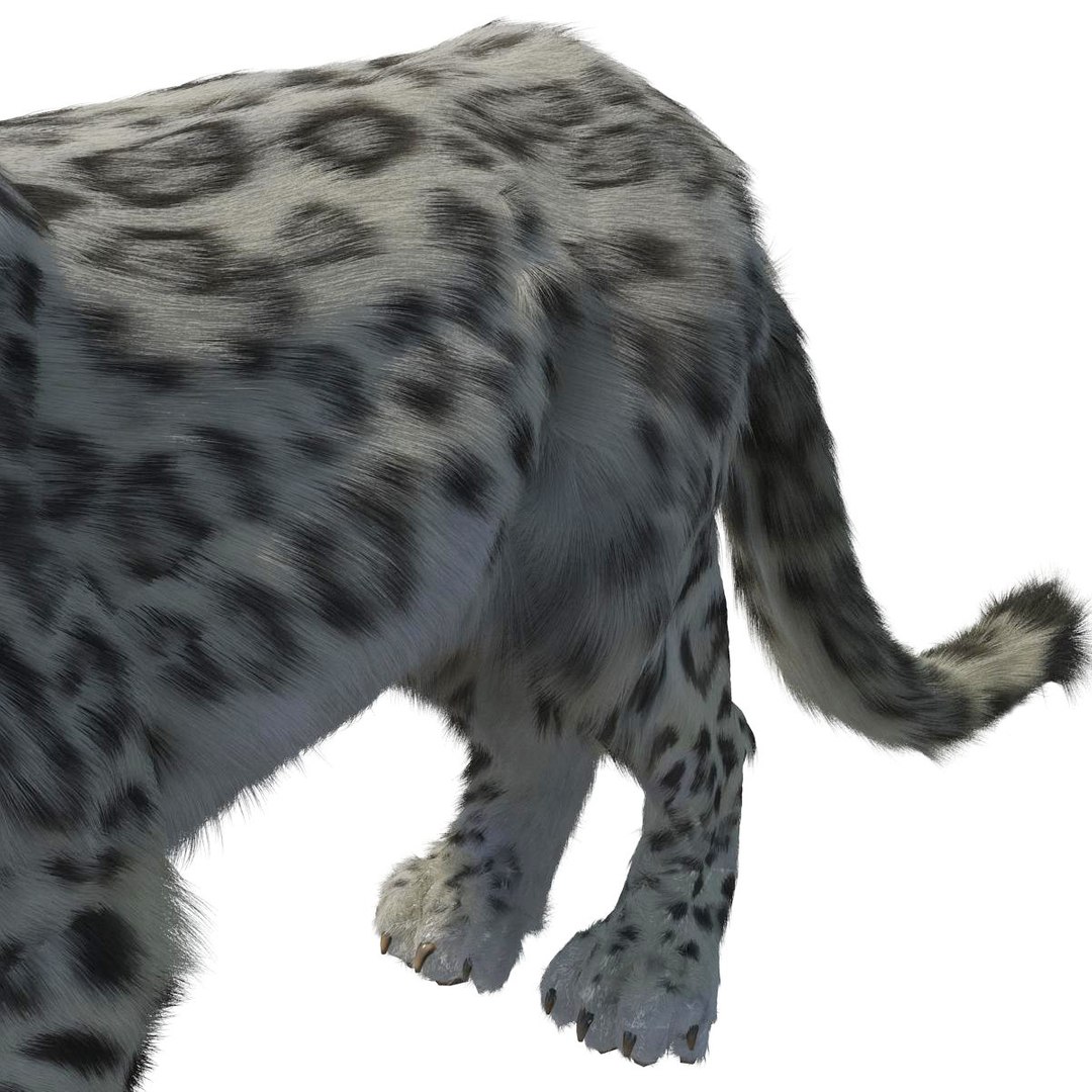 snow leopard fur 3d model