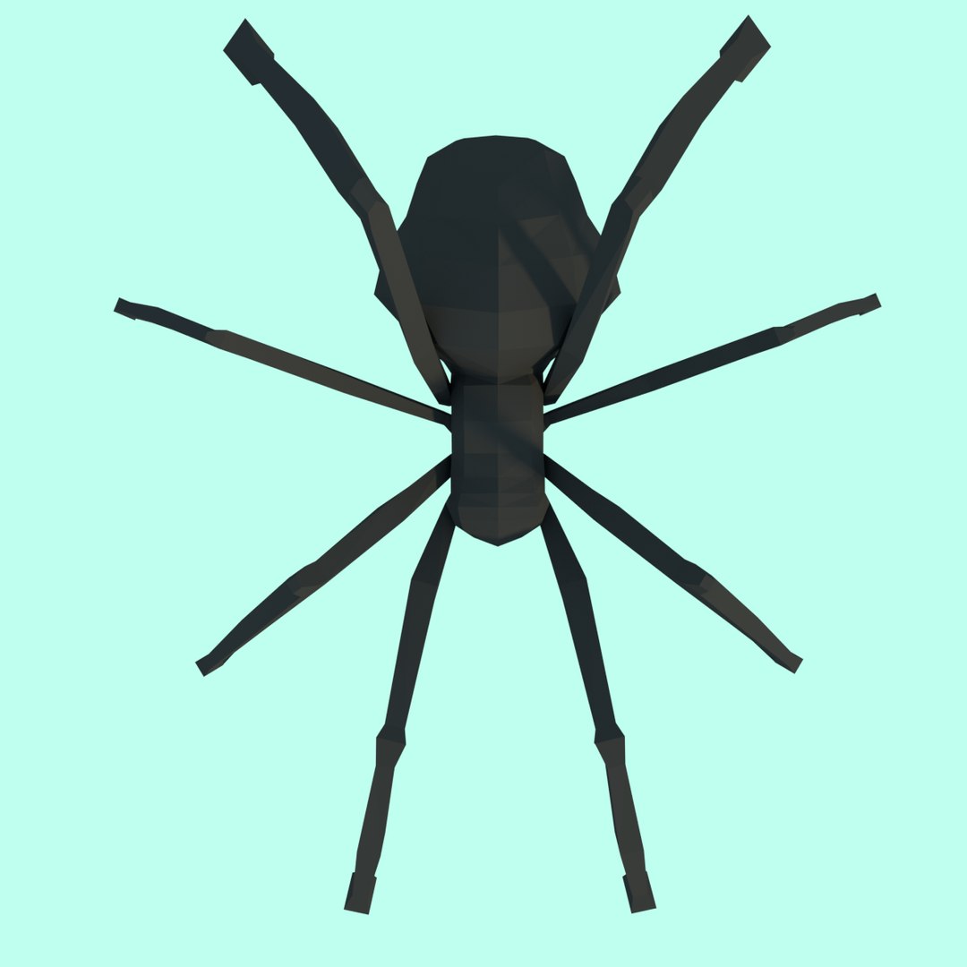 Spider Design 3D Model - TurboSquid 1216010