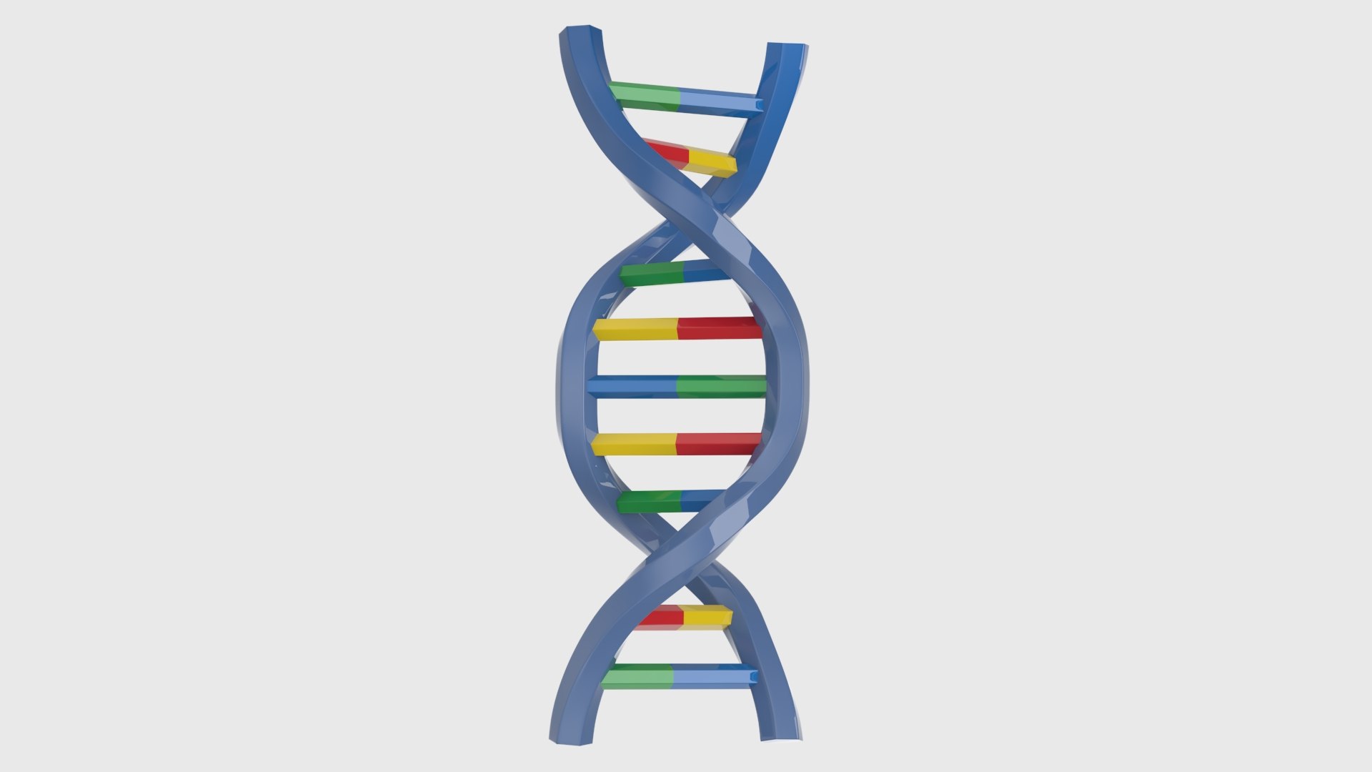 3D Structure Of DNA Bundle 1 - TurboSquid 2432932