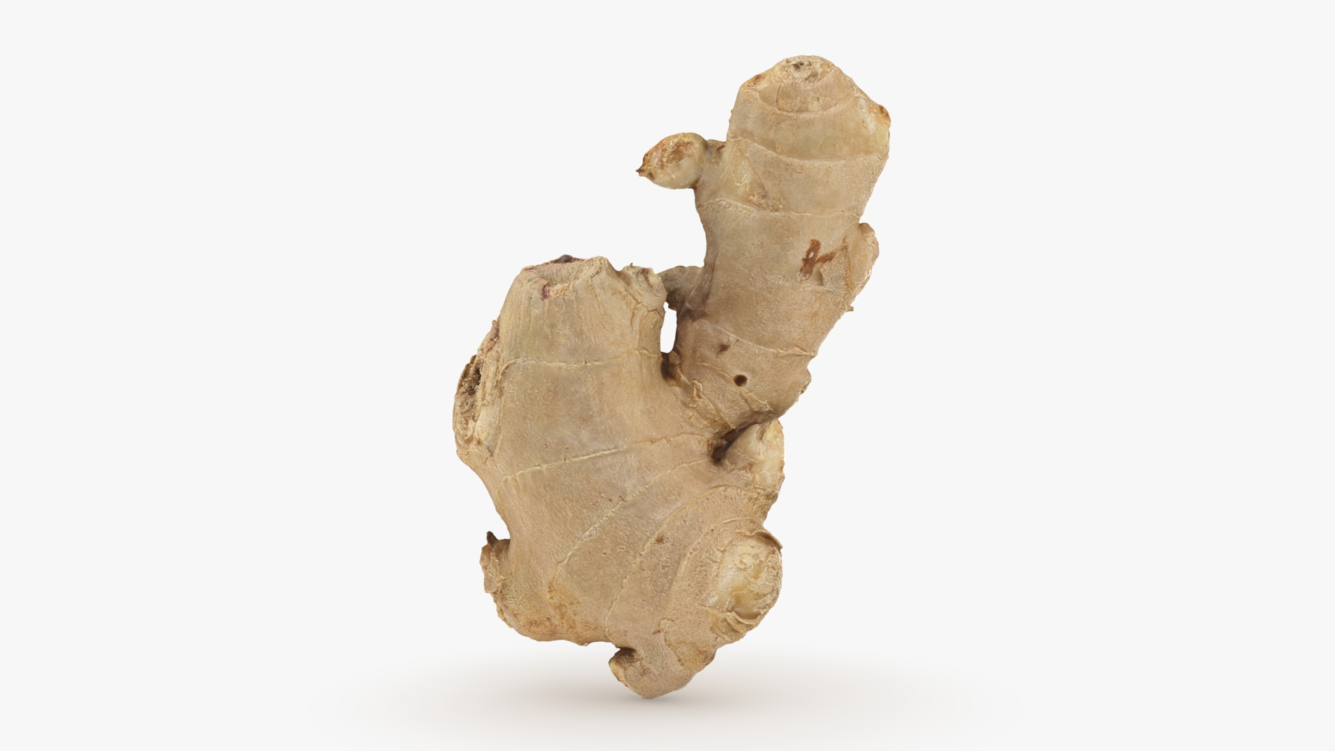 3D Ginger Root 03 Model - TurboSquid 2384339