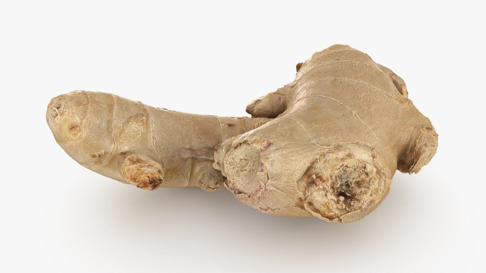3D Ginger Root 03 Model - TurboSquid 2384339