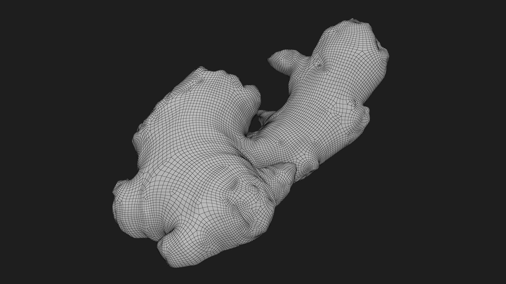 3D Ginger Root 03 Model - TurboSquid 2384339
