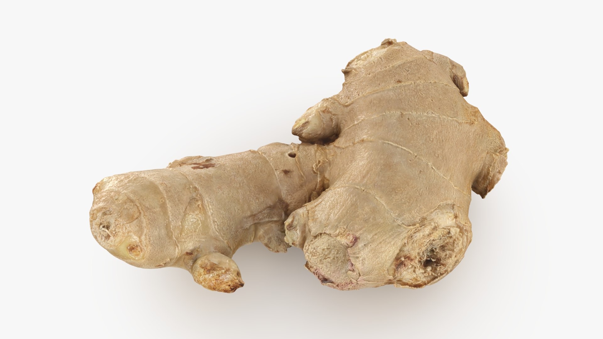 3D Ginger Root 03 Model - TurboSquid 2384339