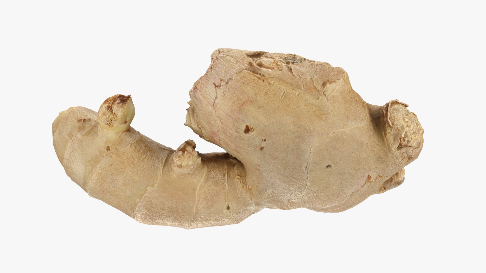 3D Ginger Root 03 Model - TurboSquid 2384339