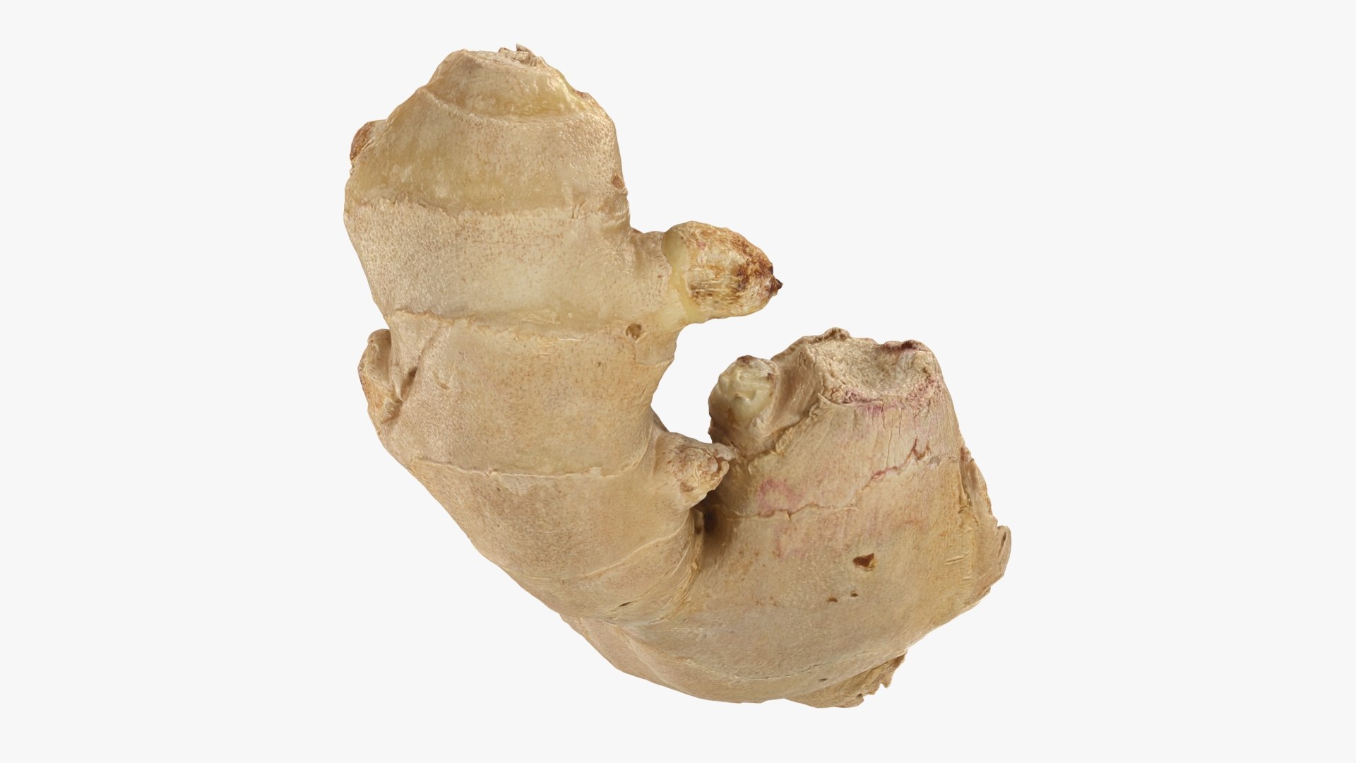 3D Ginger Root 03 Model - TurboSquid 2384339