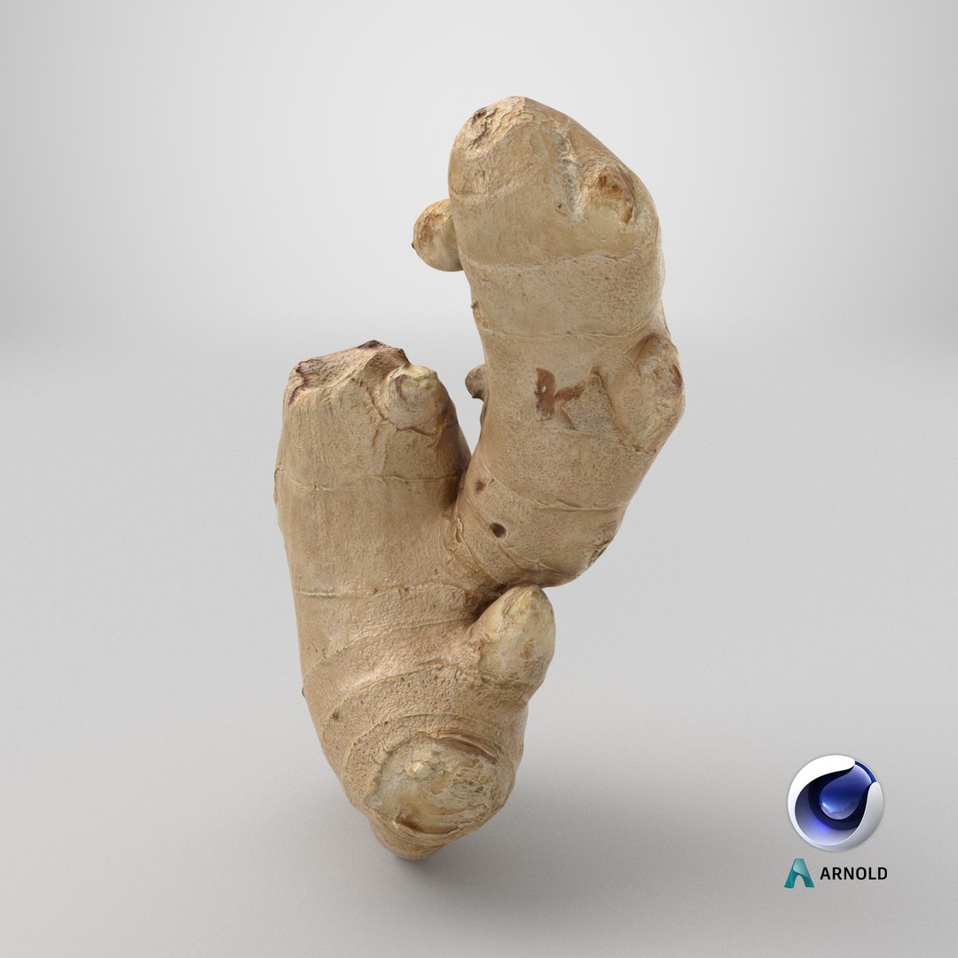 3D Ginger Root 03 Model - TurboSquid 2384339