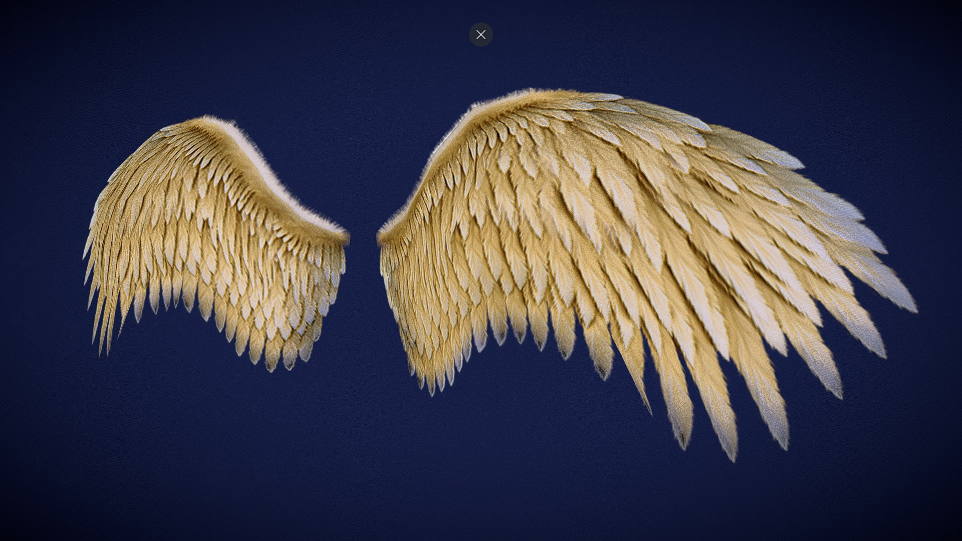 Low Poly Animated Golden Wings 3D - TurboSquid 1973717