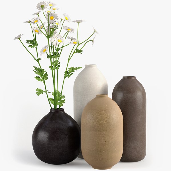 3D chamomile model - TurboSquid 1602336