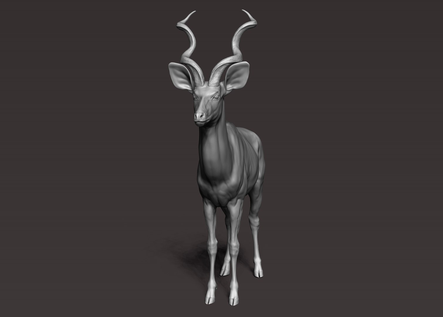 Greater kudu 3D model - TurboSquid 1407711