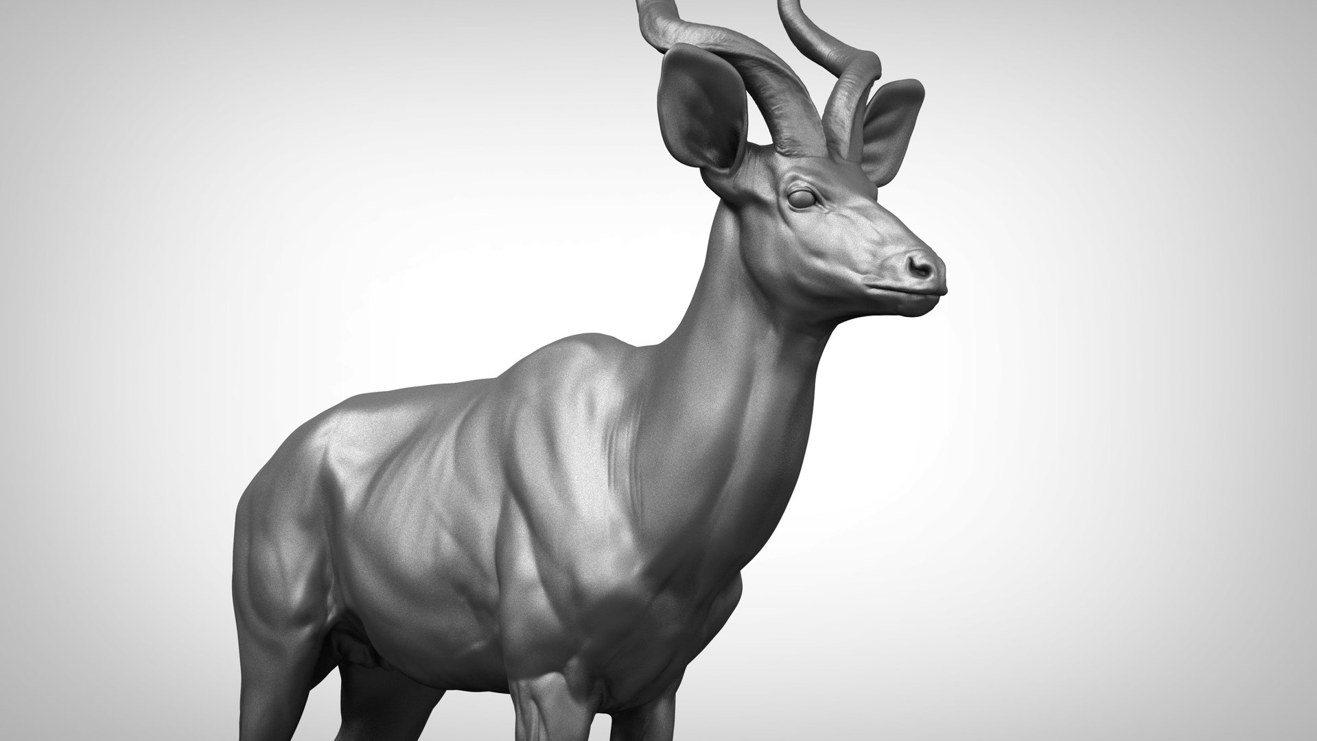 Greater kudu 3D model - TurboSquid 1407711