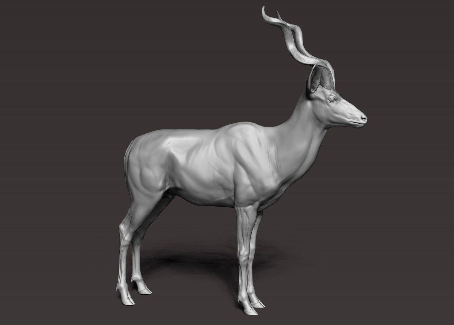 Greater kudu 3D model - TurboSquid 1407711