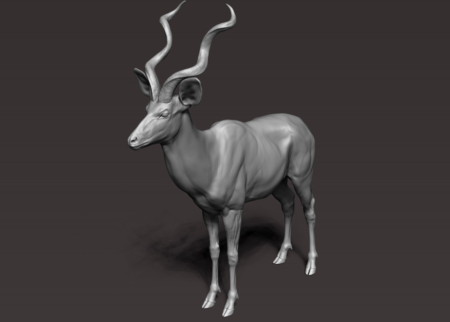 Greater kudu 3D model - TurboSquid 1407711