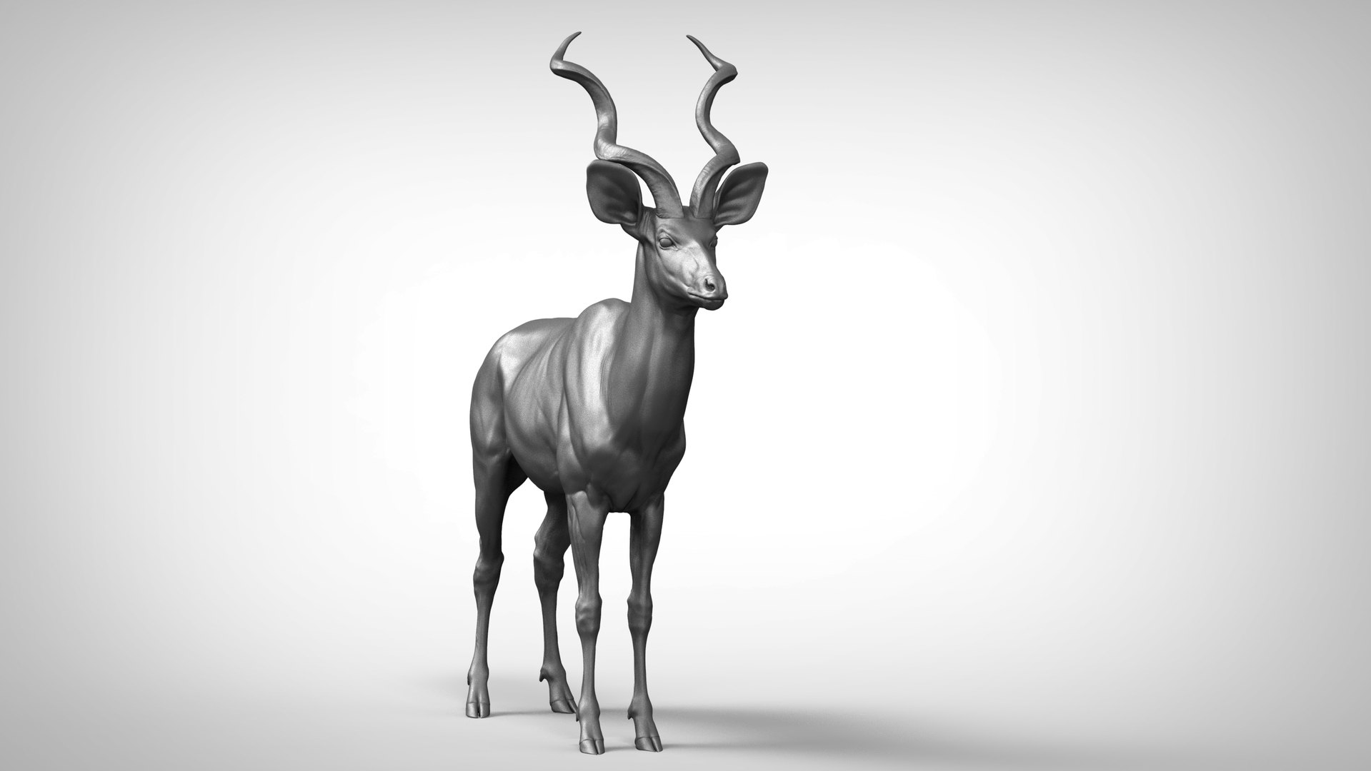Greater kudu 3D model - TurboSquid 1407711