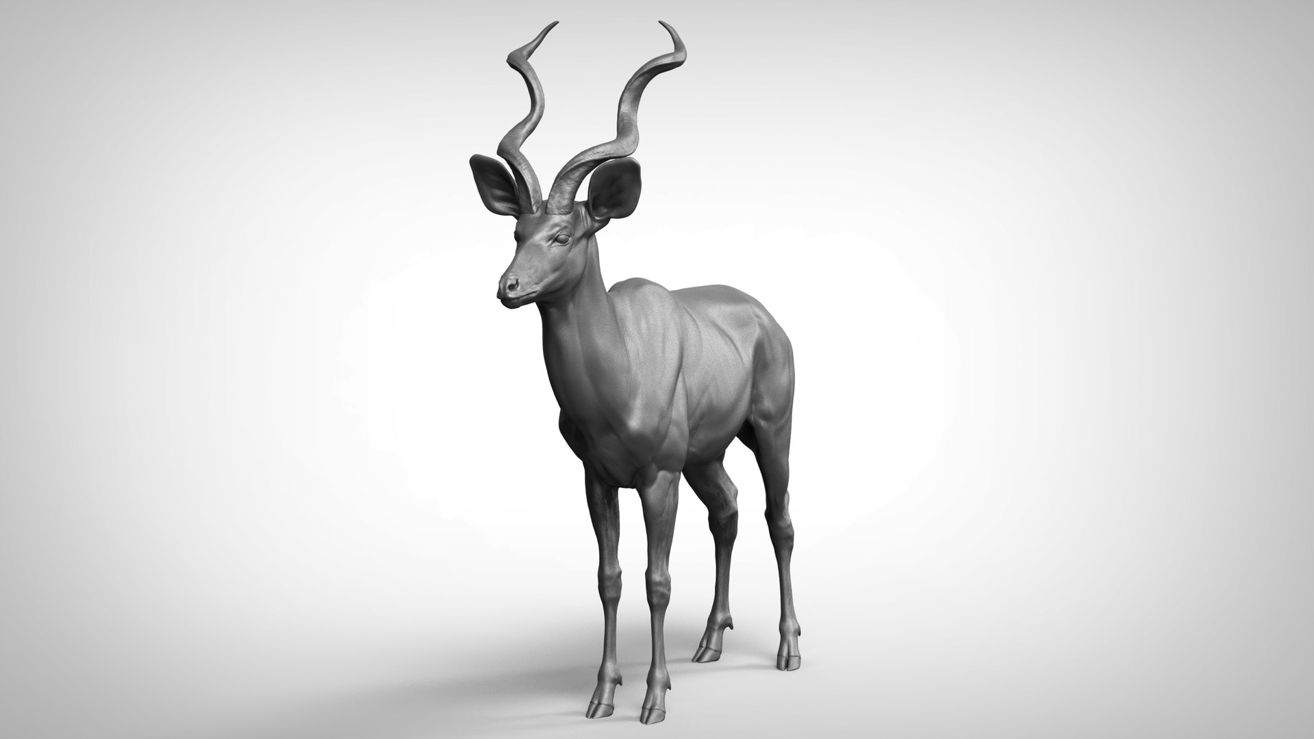 Greater kudu 3D model - TurboSquid 1407711