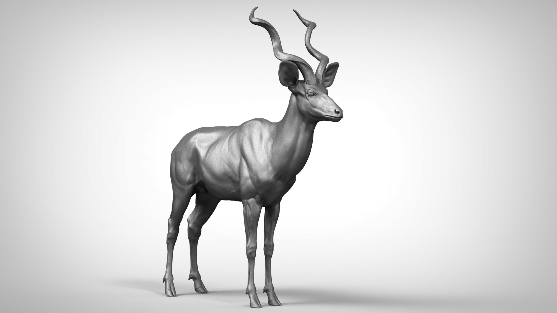 Greater kudu 3D model - TurboSquid 1407711