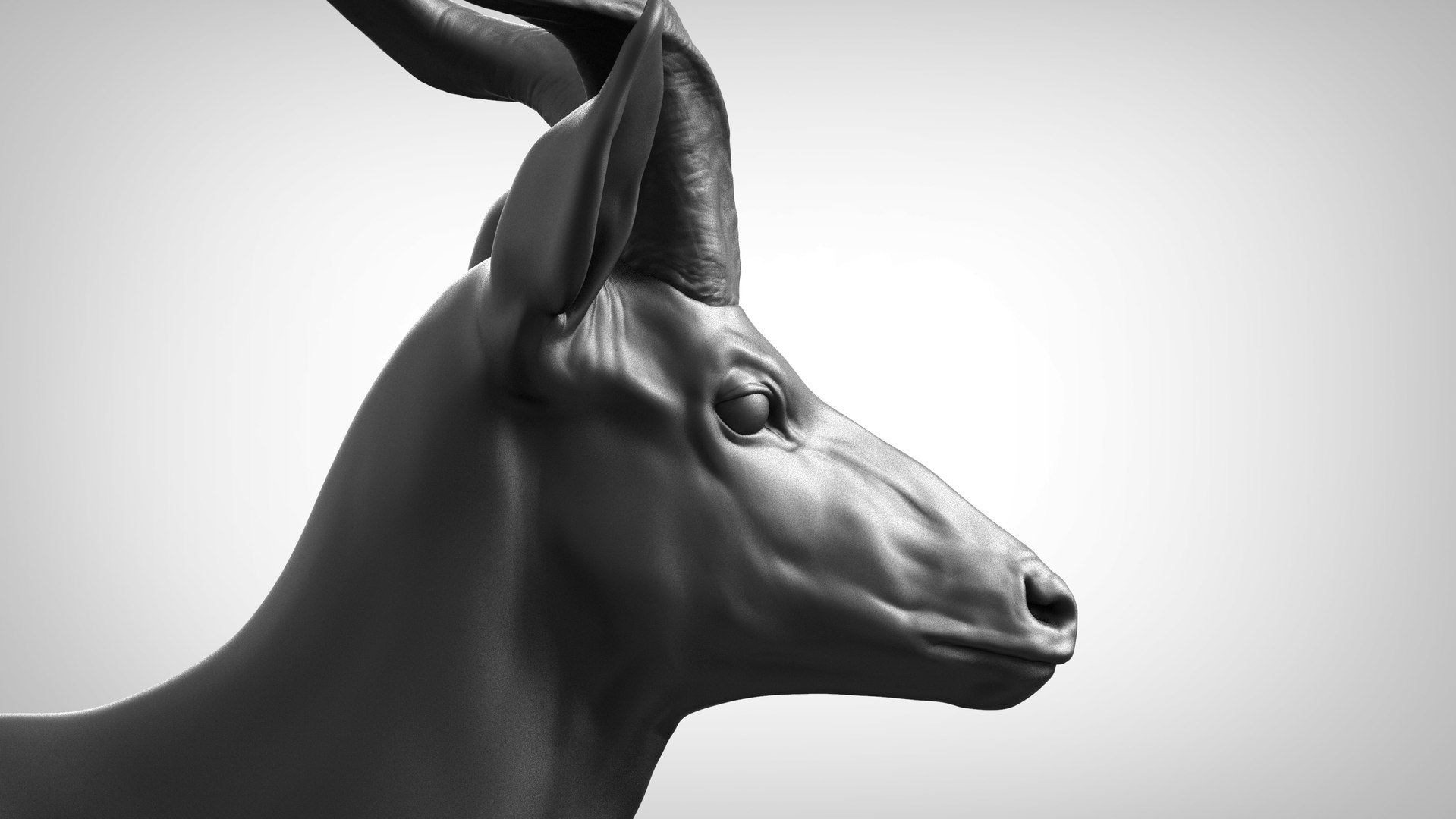 Greater kudu 3D model - TurboSquid 1407711