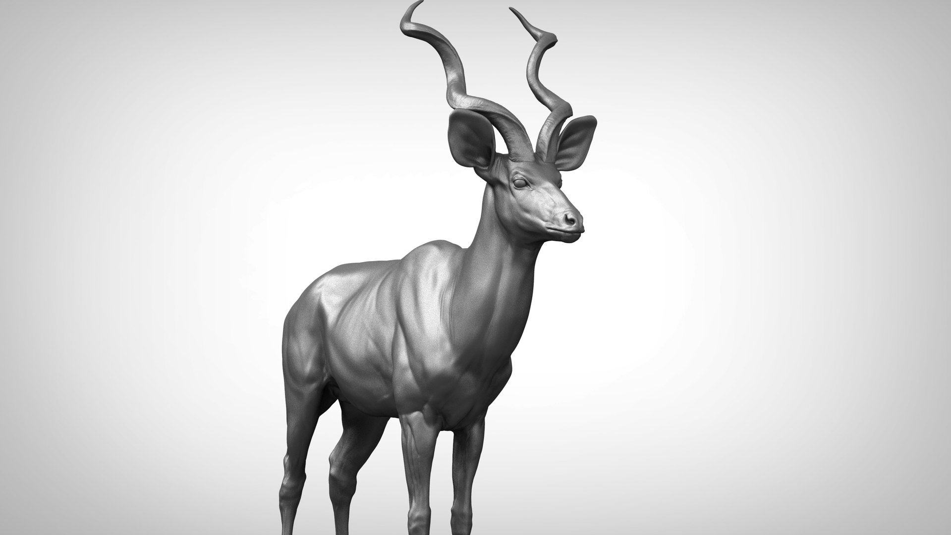 Greater kudu 3D model - TurboSquid 1407711