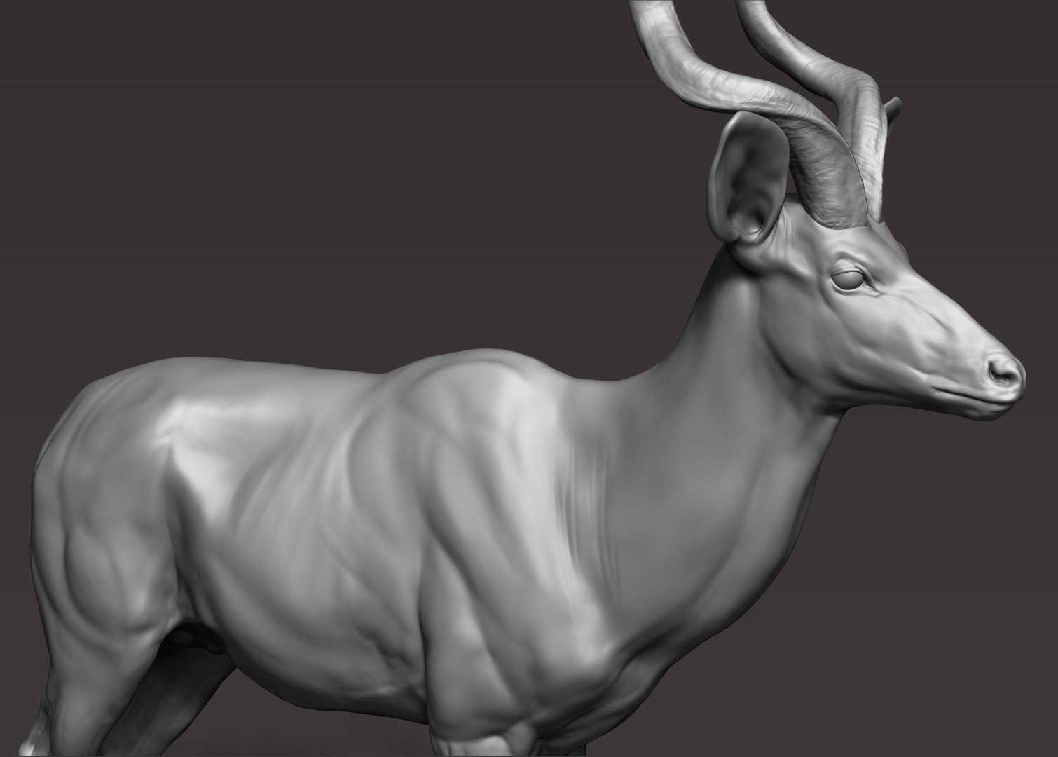 Greater kudu 3D model - TurboSquid 1407711