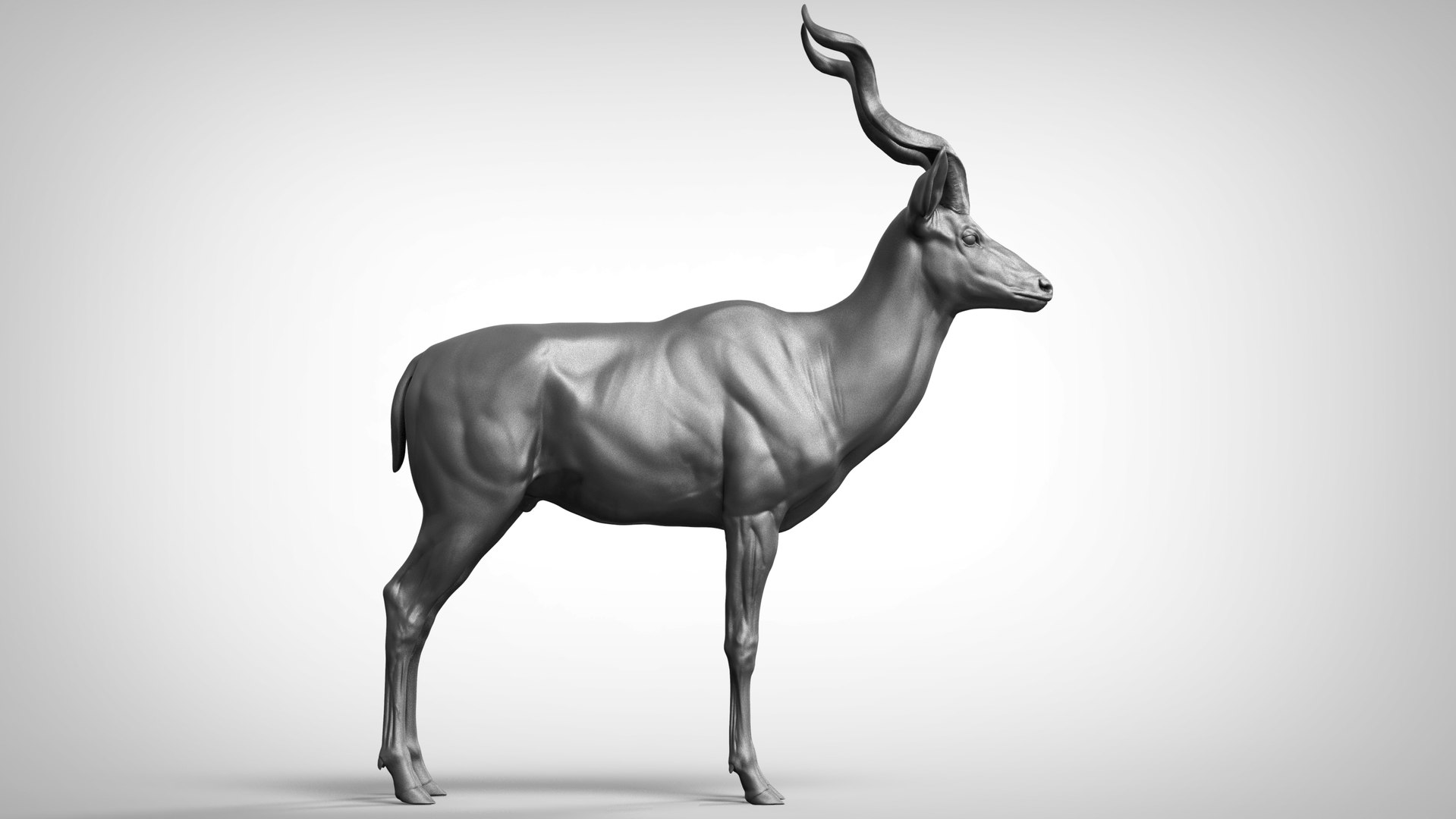 Greater kudu 3D model - TurboSquid 1407711