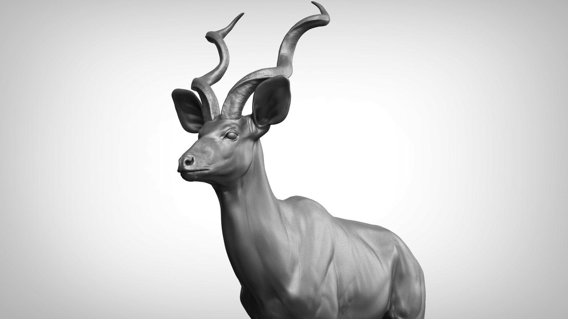 Greater kudu 3D model - TurboSquid 1407711