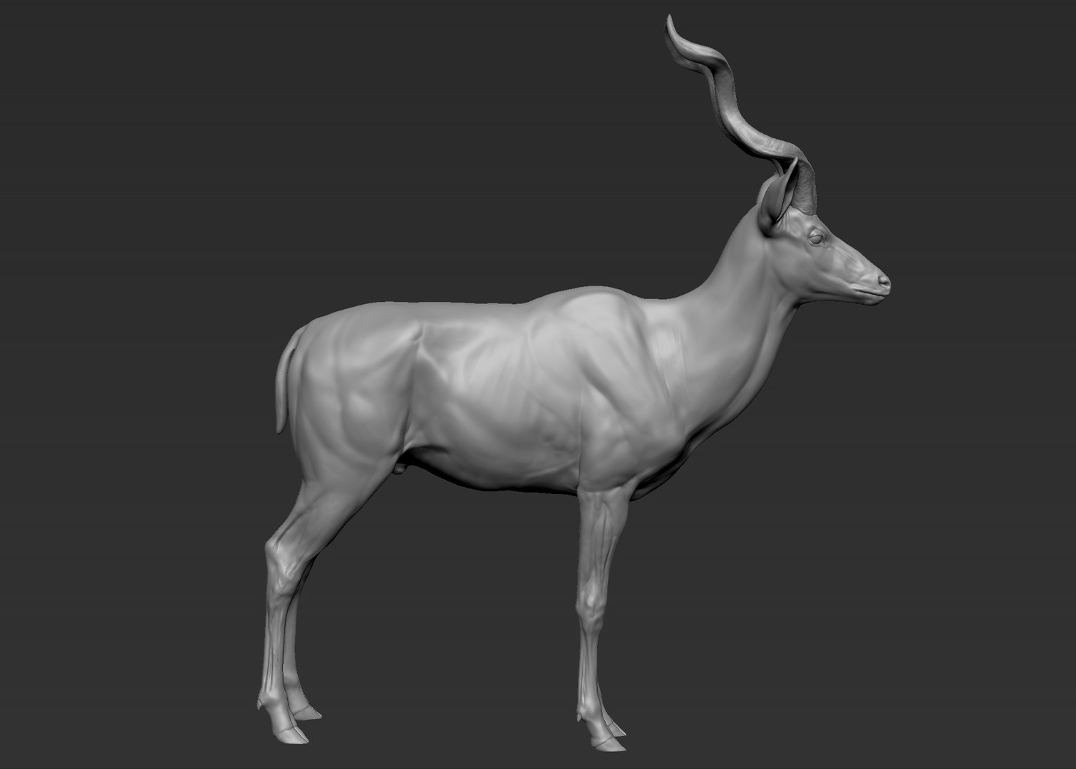 Greater kudu 3D model - TurboSquid 1407711