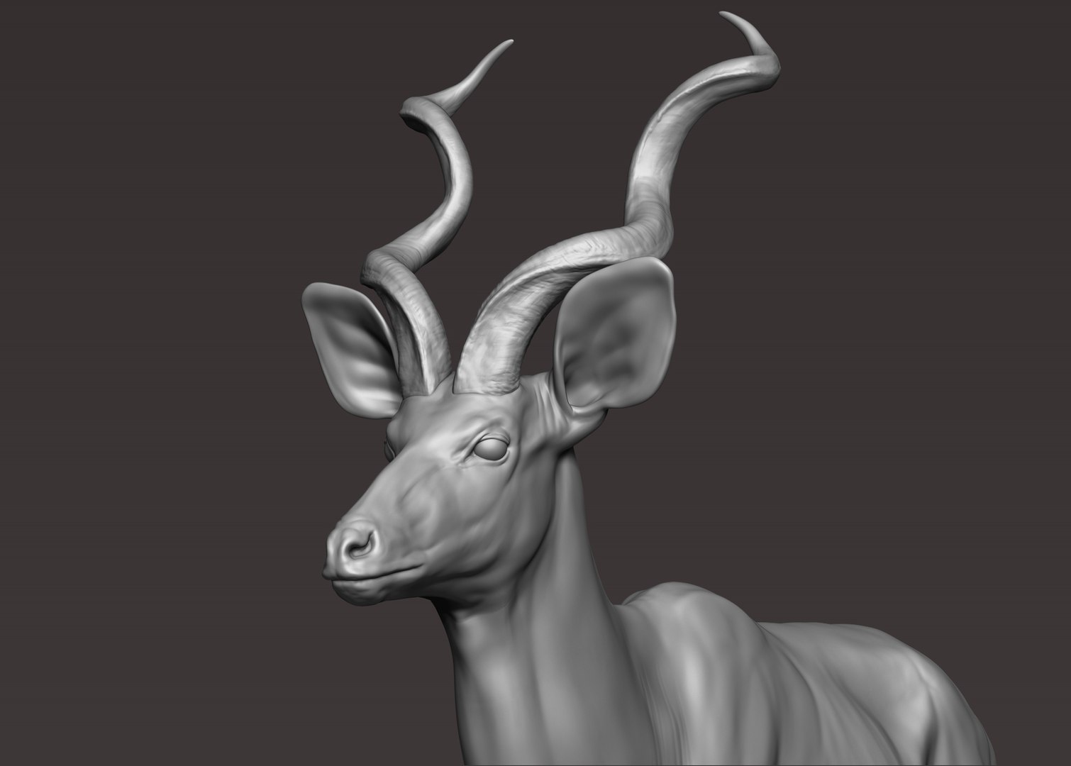 Greater kudu 3D model - TurboSquid 1407711