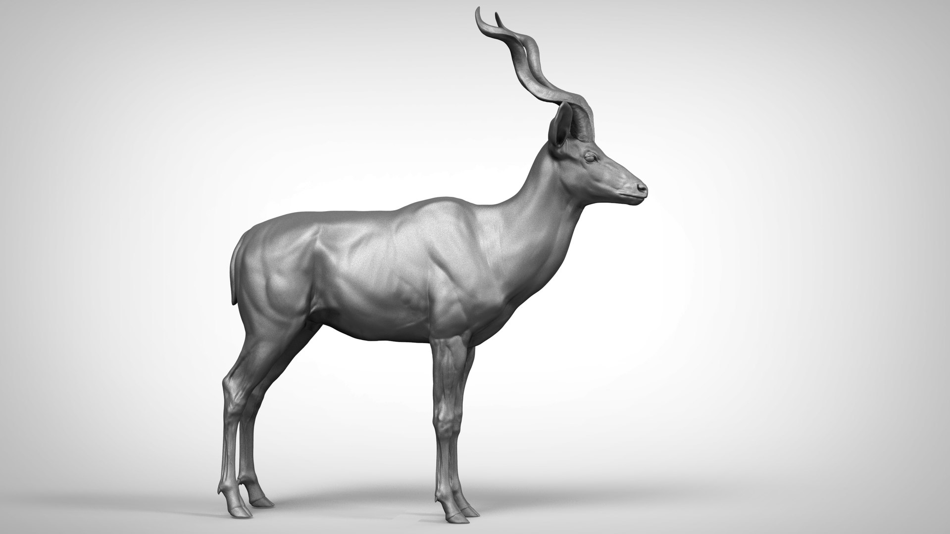 Greater kudu 3D model - TurboSquid 1407711