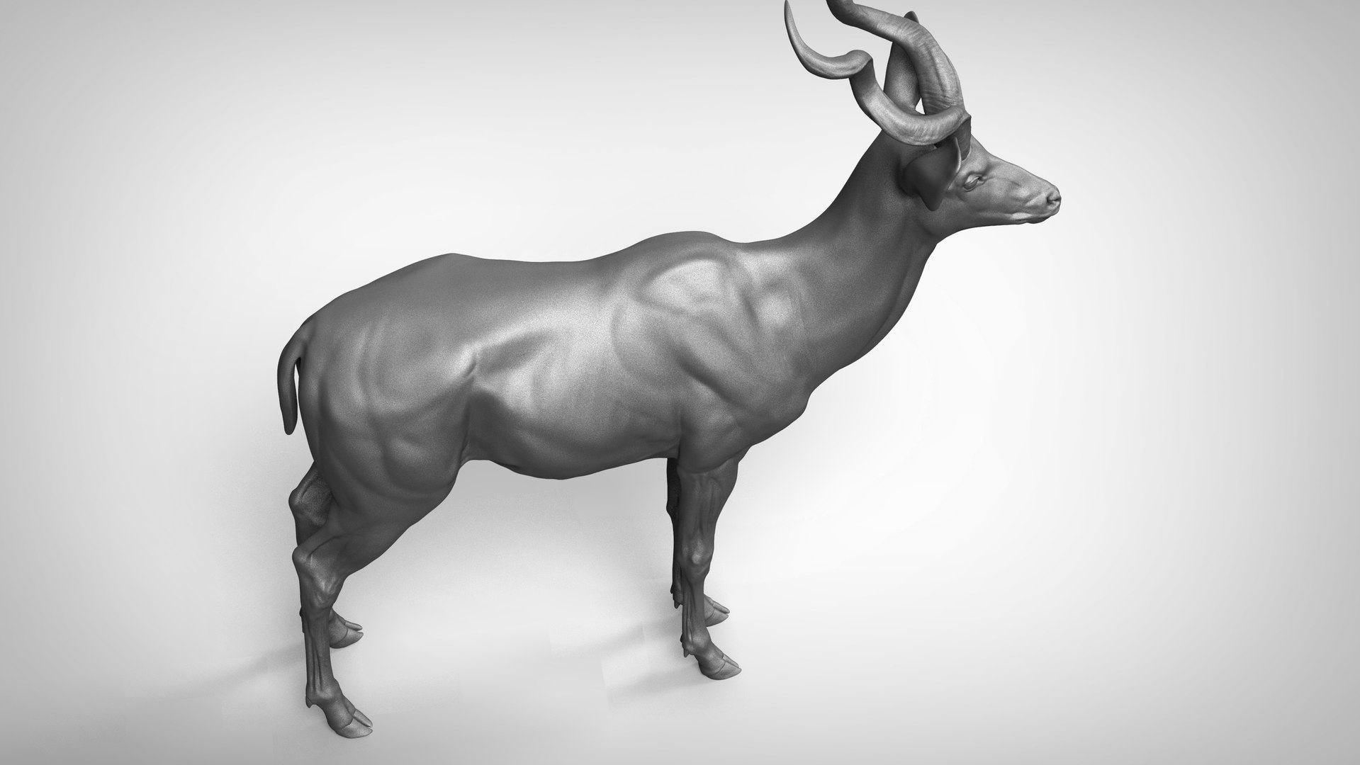 Greater kudu 3D model - TurboSquid 1407711
