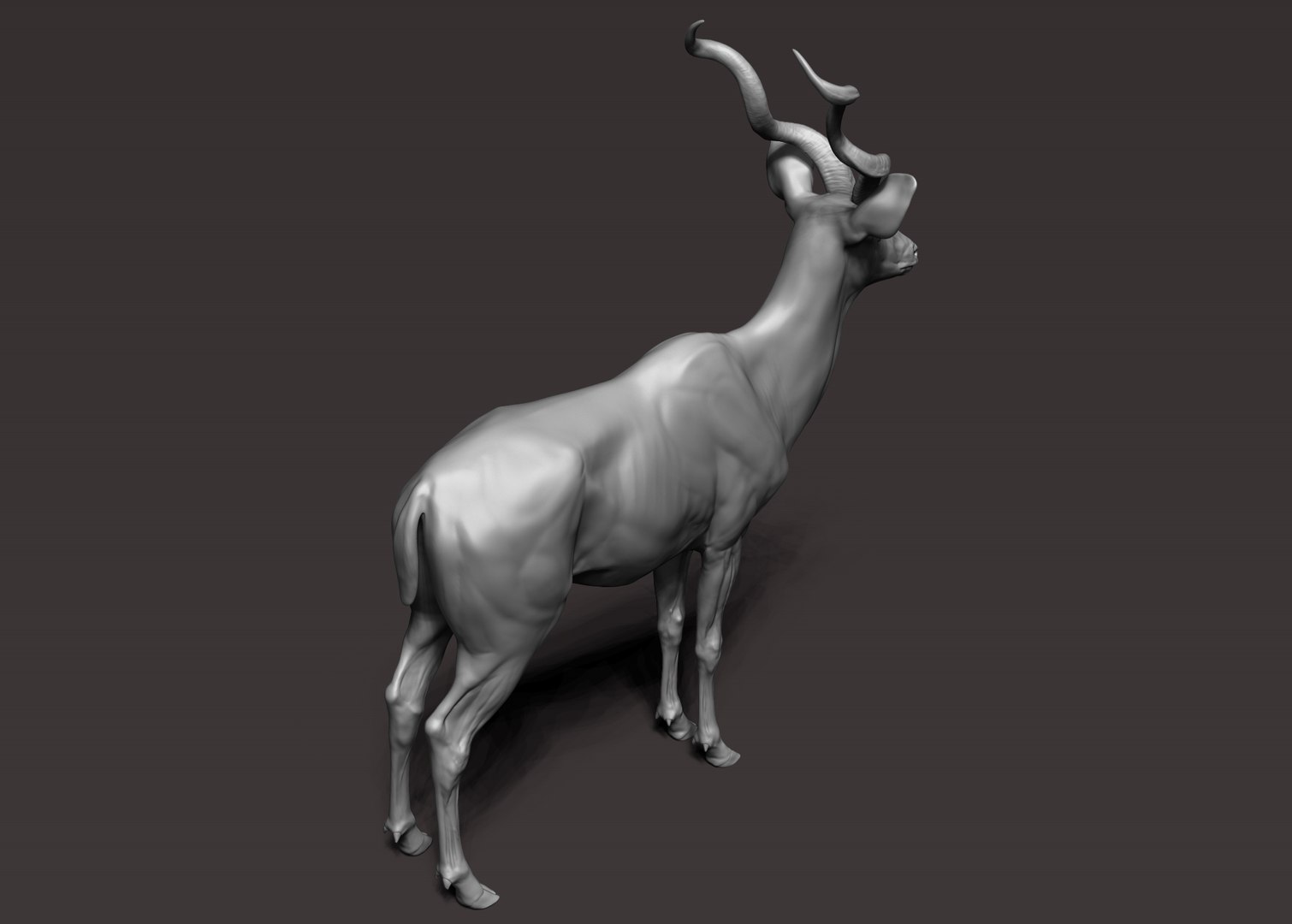 Greater kudu 3D model - TurboSquid 1407711