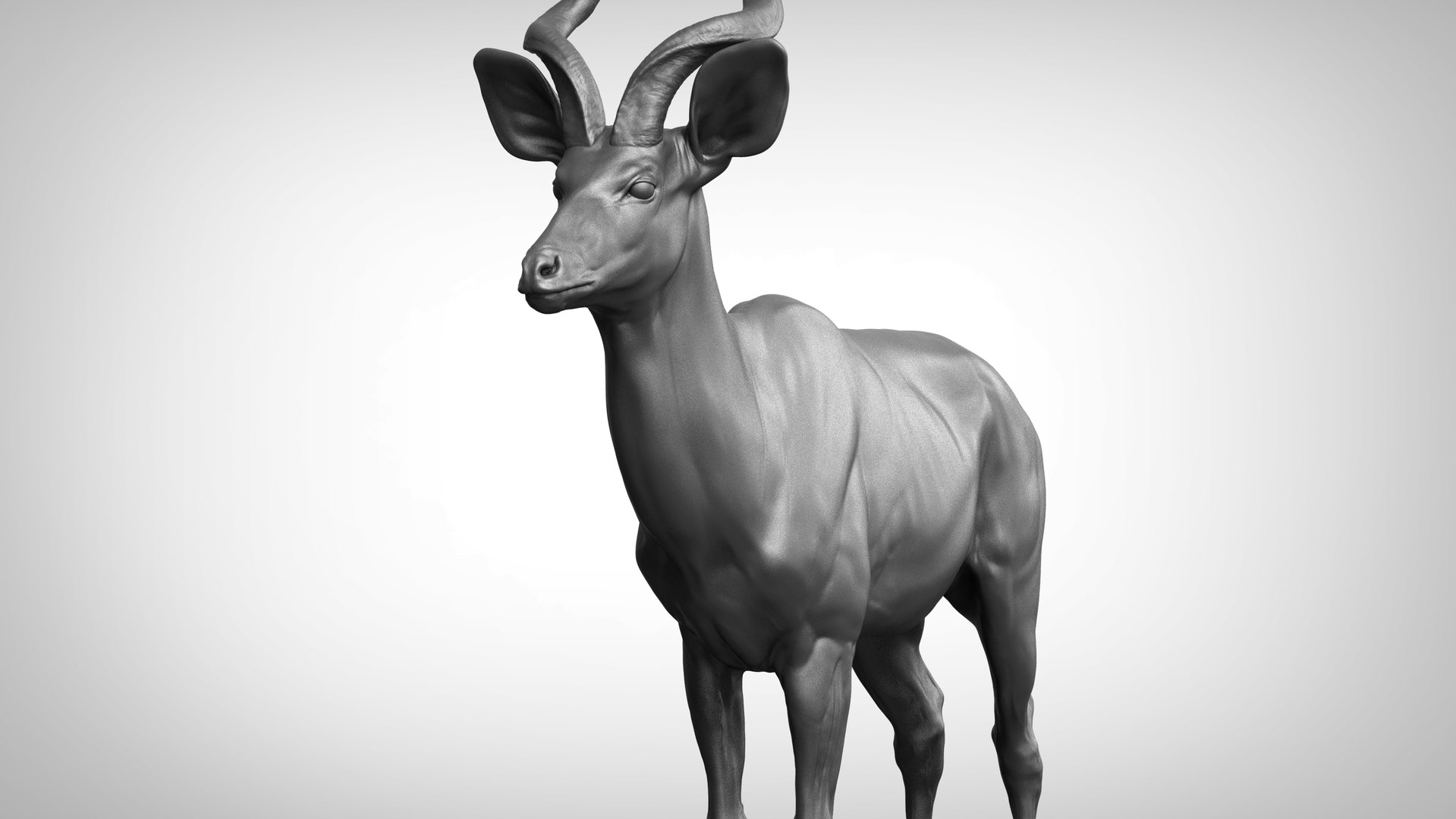 Greater kudu 3D model - TurboSquid 1407711