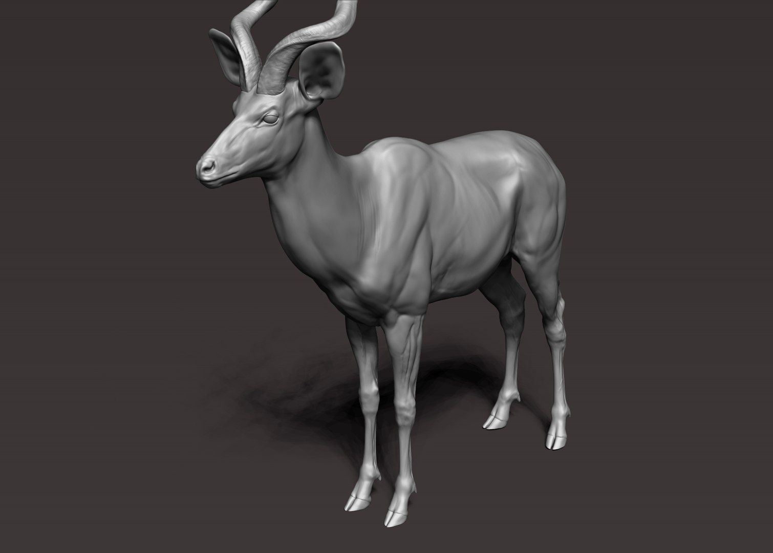 Greater kudu 3D model - TurboSquid 1407711