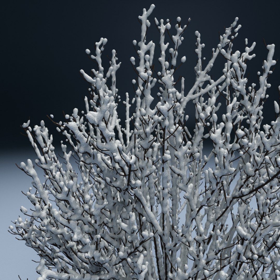 3d model winter tree v7