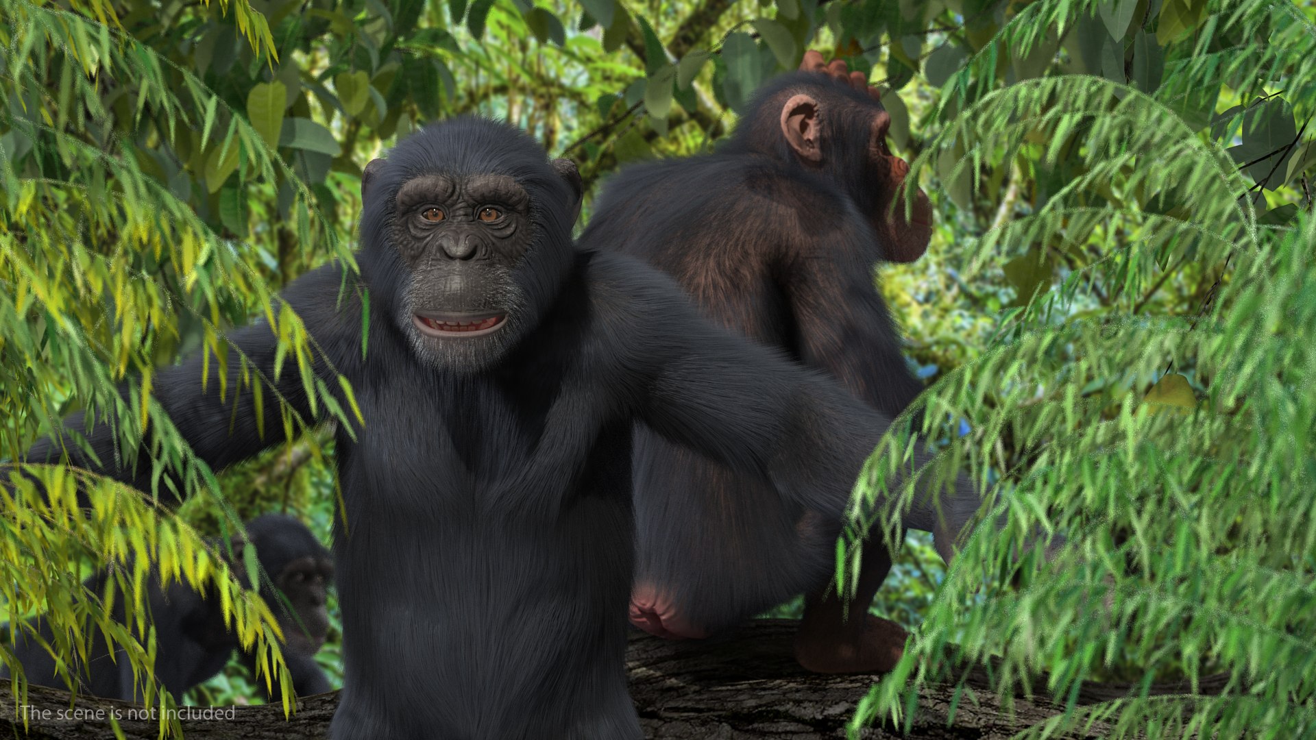 Chimpanzee T-pose Dark Fur Model - TurboSquid 1441047