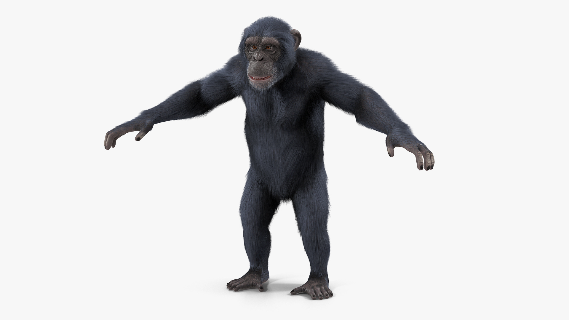Chimpanzee T-pose Dark Fur Model - TurboSquid 1441047