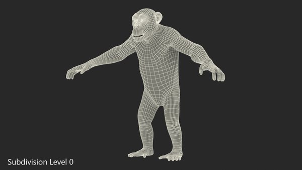 Chimpanzee t-pose dark fur model - TurboSquid 1441047