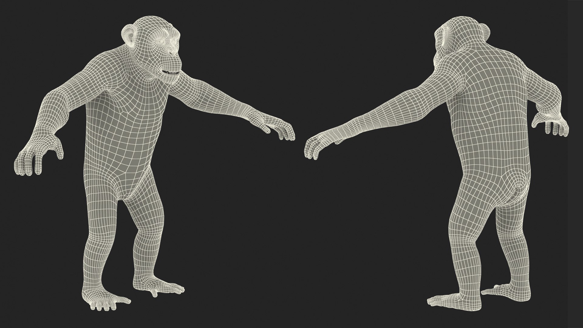 Chimpanzee t-pose dark fur model - TurboSquid 1441047