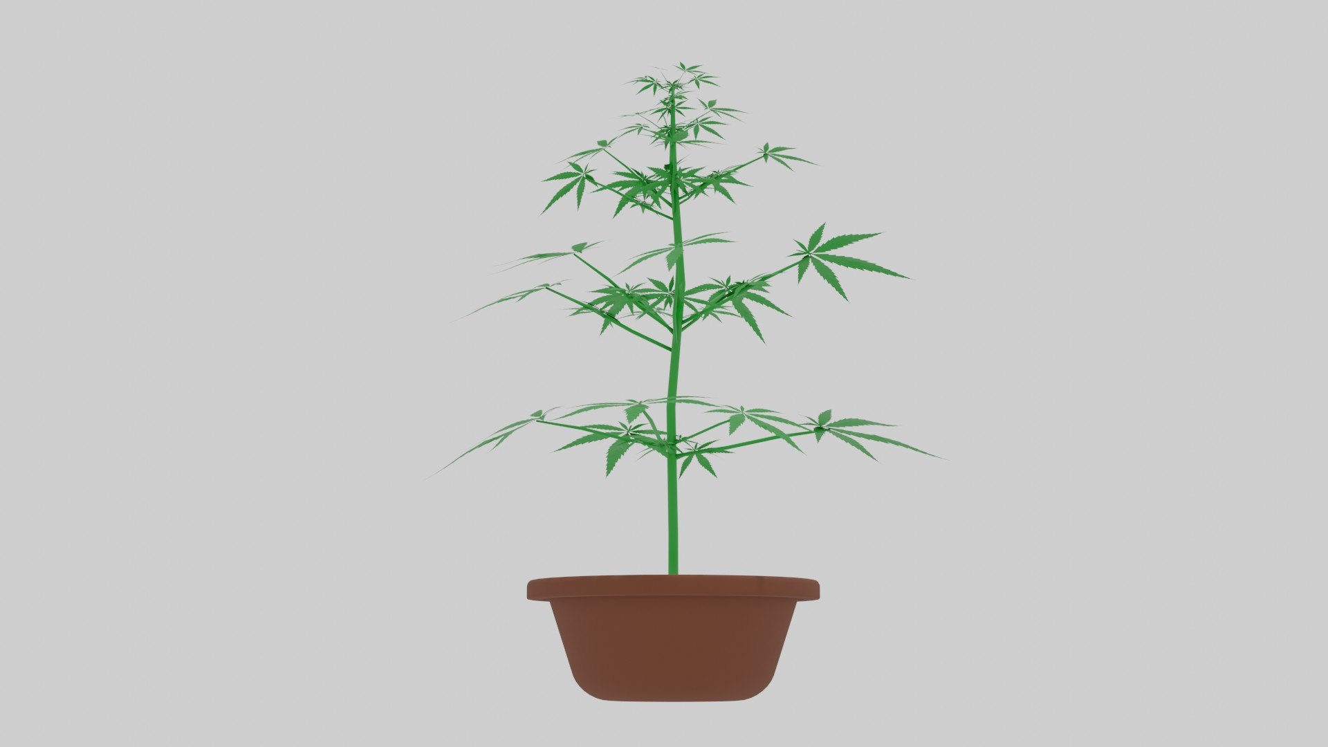 3D Model Cannabis Tree Plant - TurboSquid 2066460