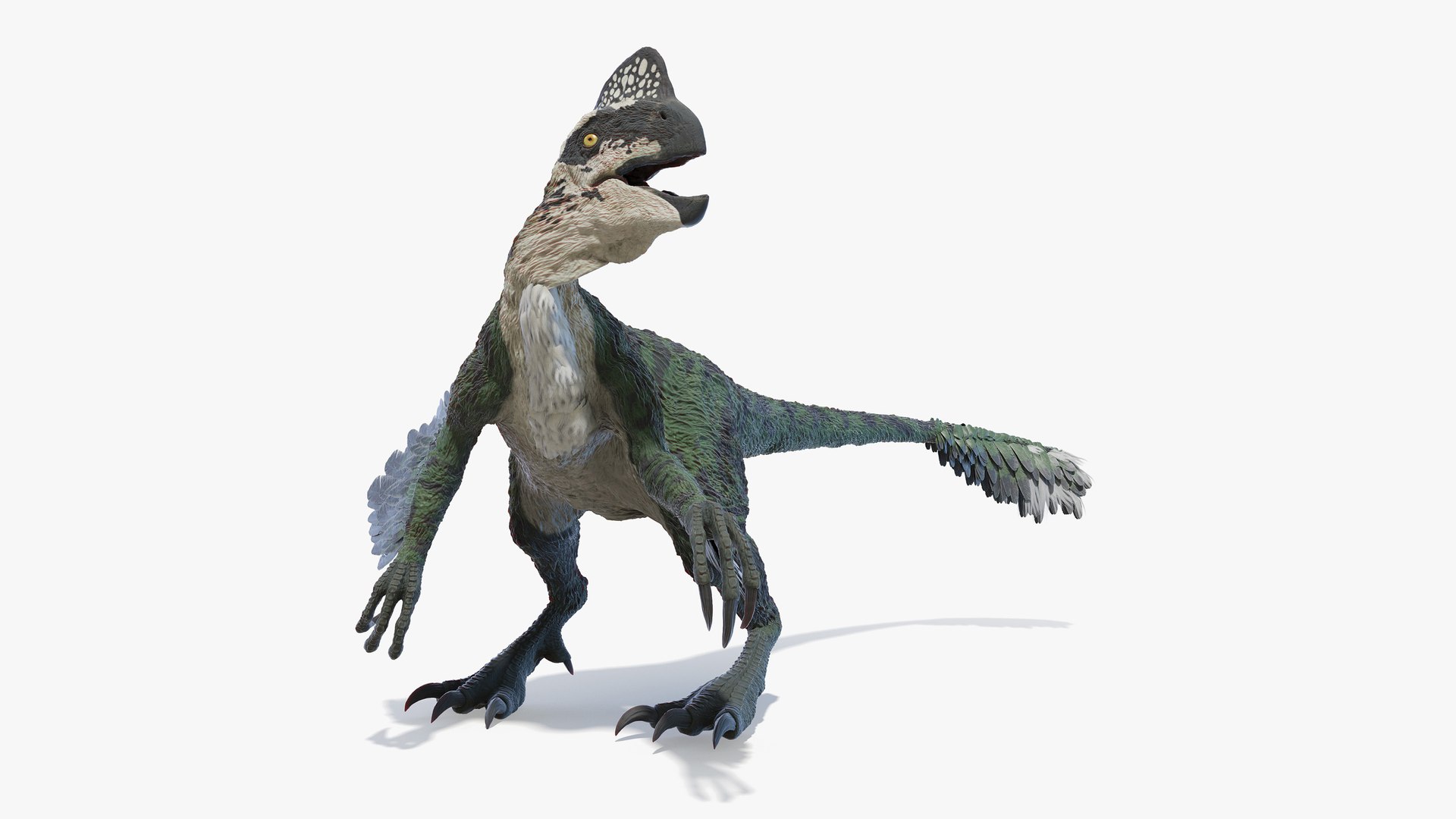 Oviraptor Animated 3D model - TurboSquid 1924517