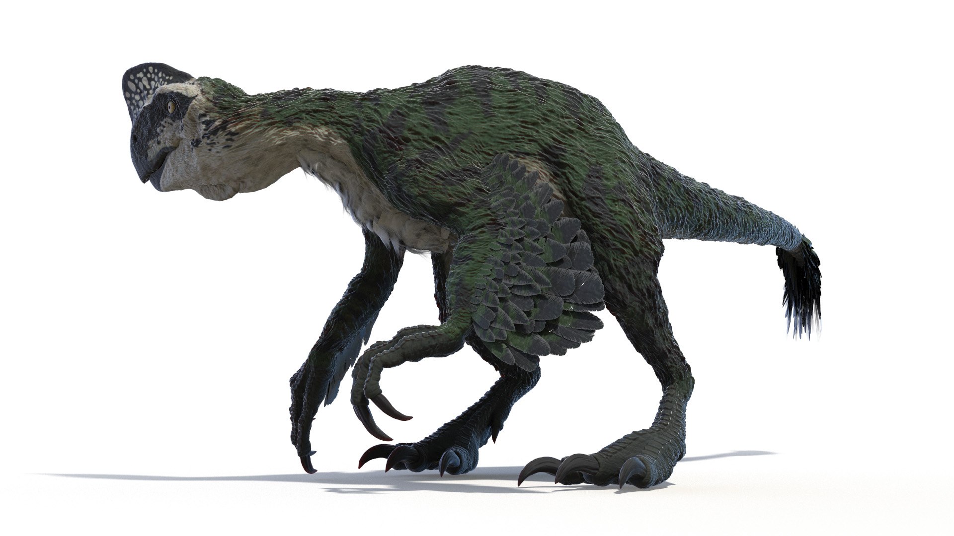 Oviraptor Animated 3D Model - TurboSquid 1924517