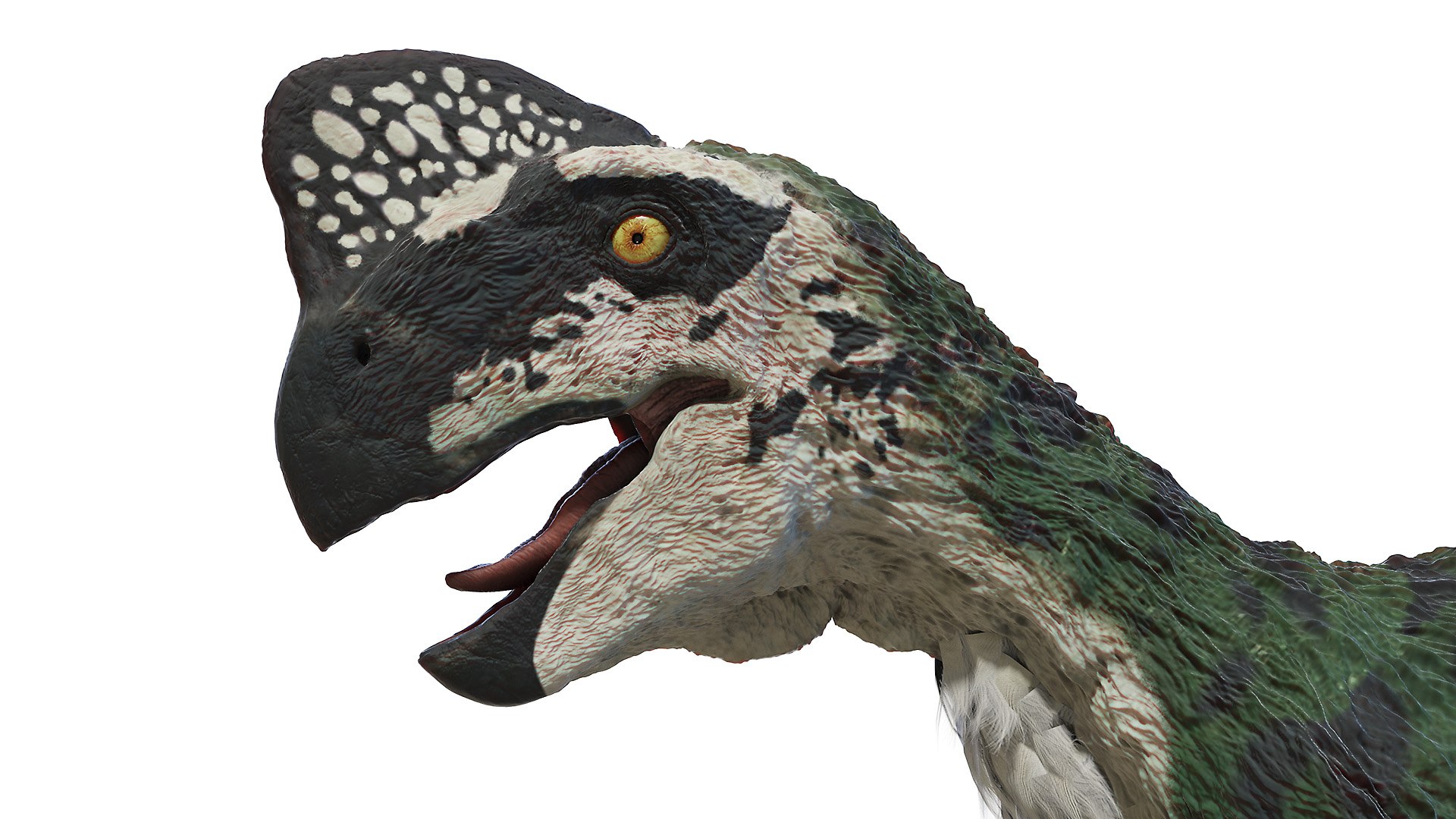 Oviraptor Animated 3D Model - TurboSquid 1924517