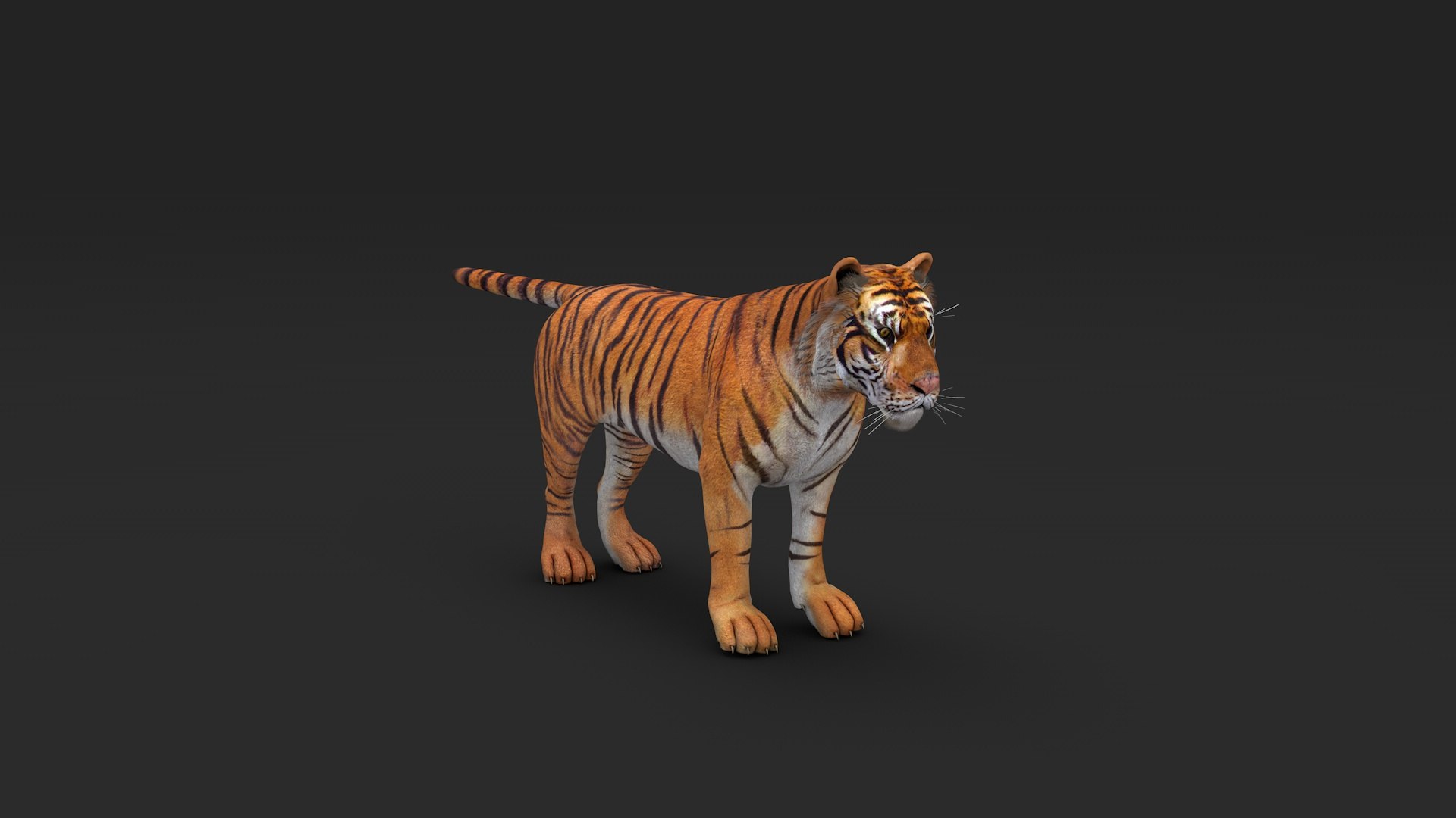 Tiger 3D - TurboSquid 1857347