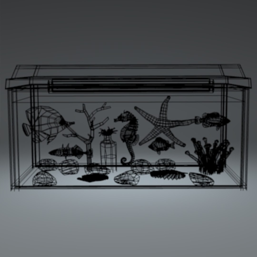3d Aquarium Fishes Seahorse Starfish