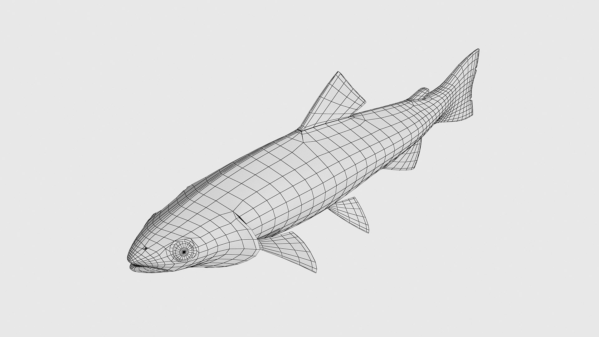 FISH Trout 3D Model - TurboSquid 1827551