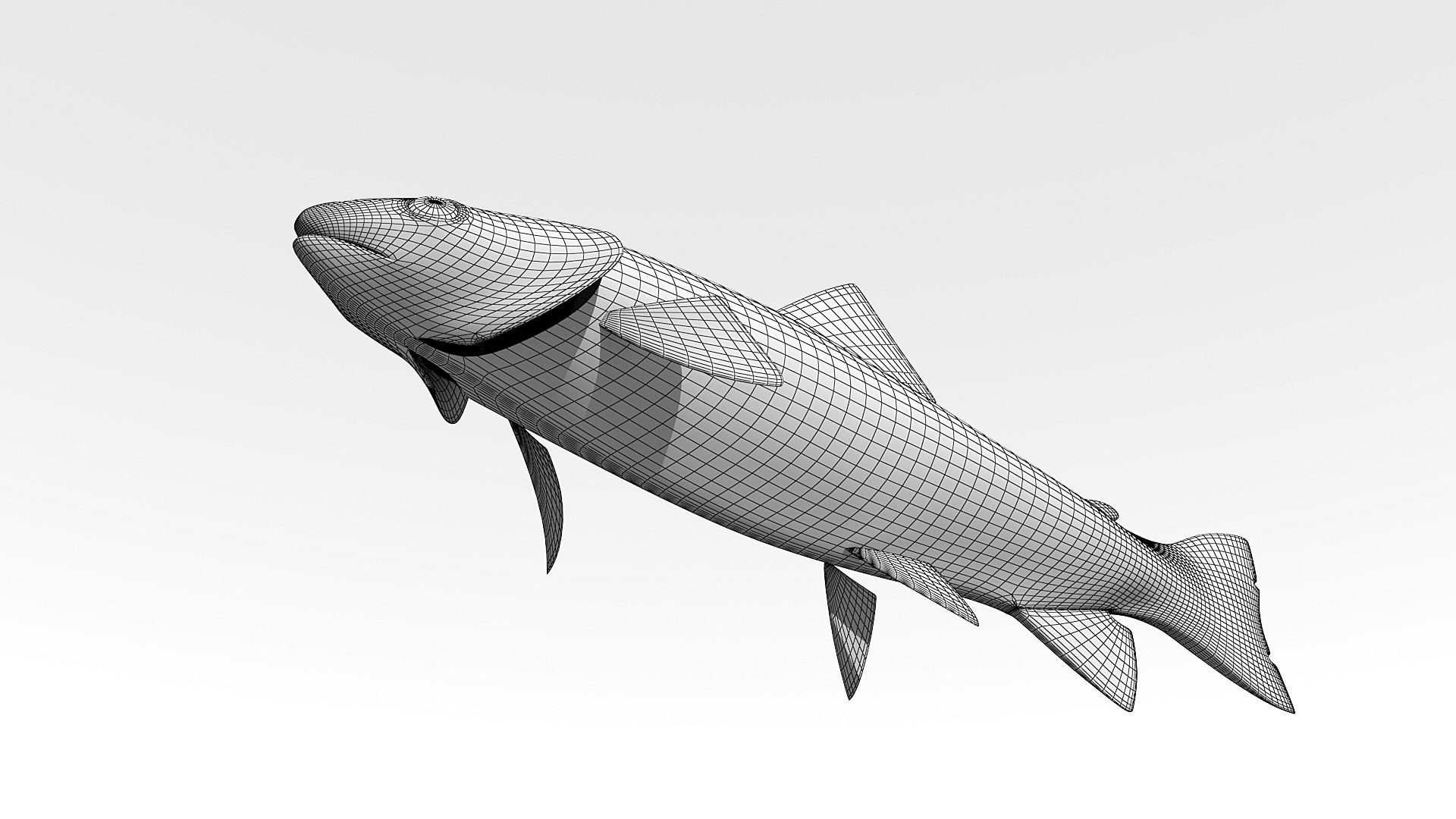FISH Trout 3D Model - TurboSquid 1827551