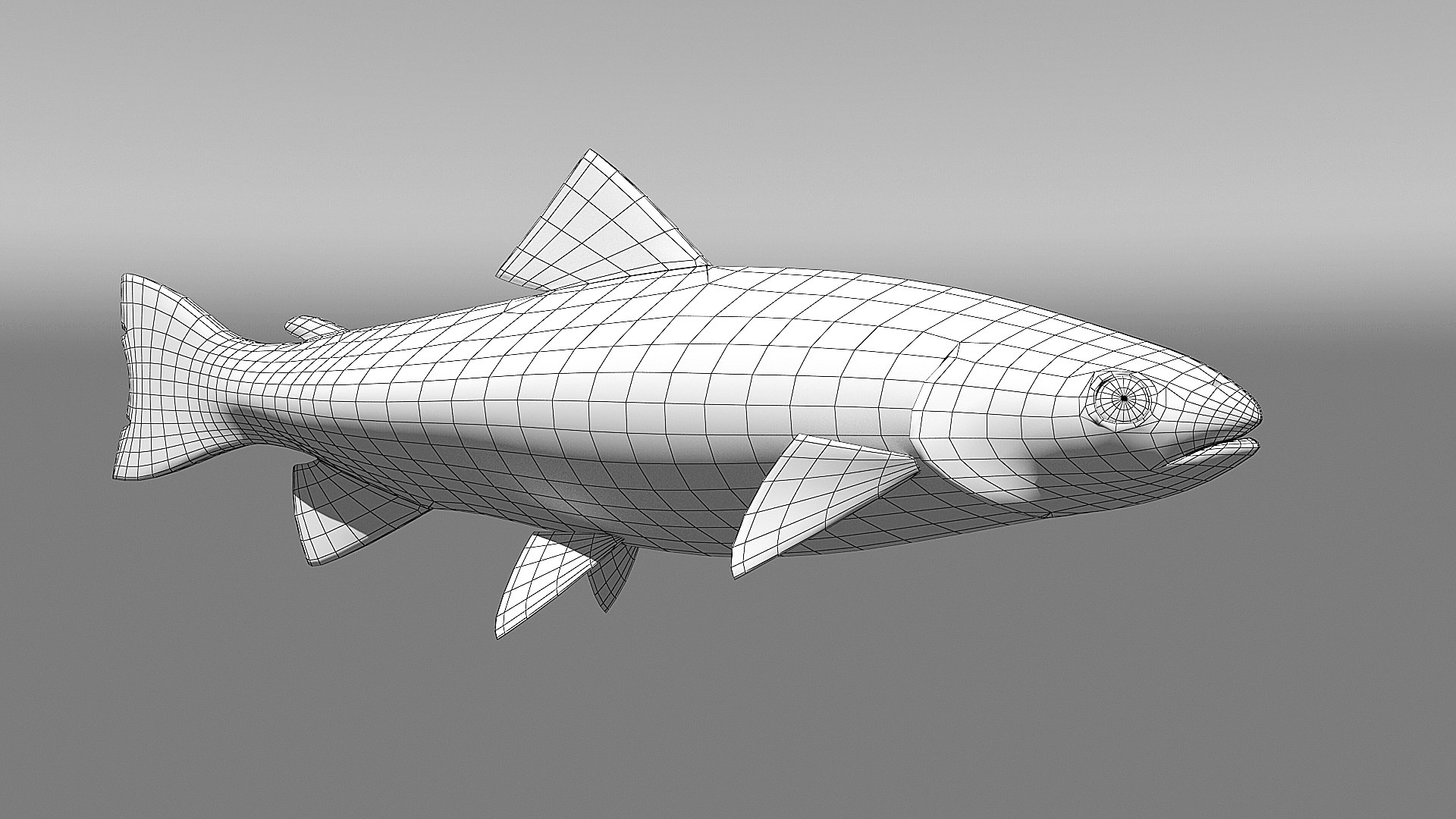 FISH Trout 3D Model - TurboSquid 1827551